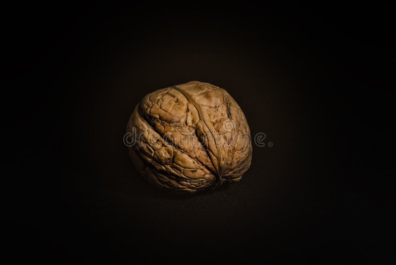 Big Beautiful Walnut on a Black Background Close-up Stock Image - Image ...