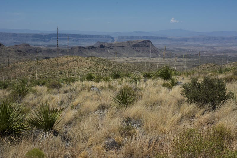 Big Bend landscape stock image. Image of blue, texas - 63977799