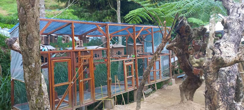 Big Bird Cage in the Mountain Stock Image - Image of cage, exploring ...