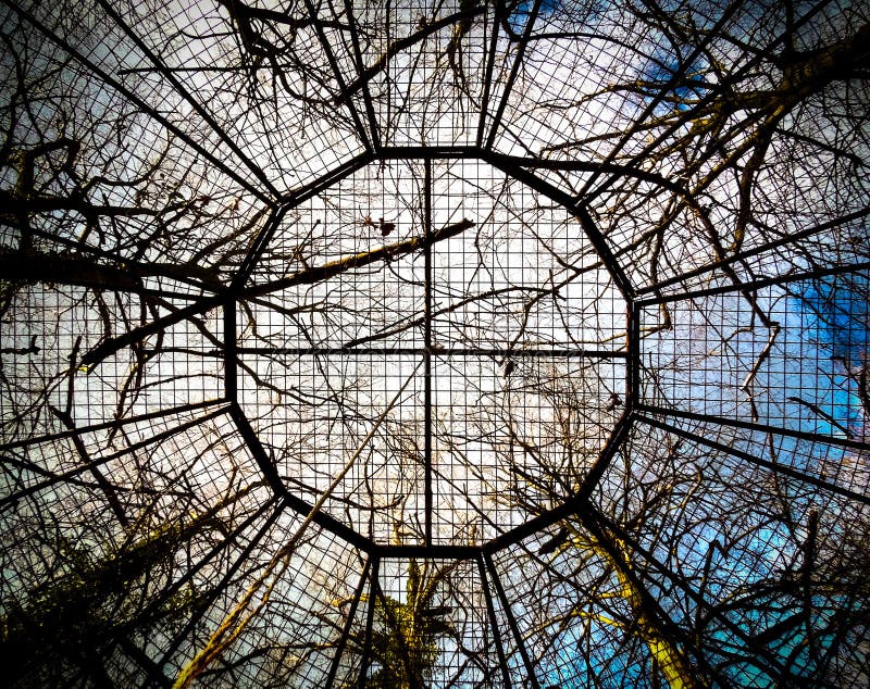 Big Bird Cage Surrounded by Many Trees Stock Photo - Image of vintage ...