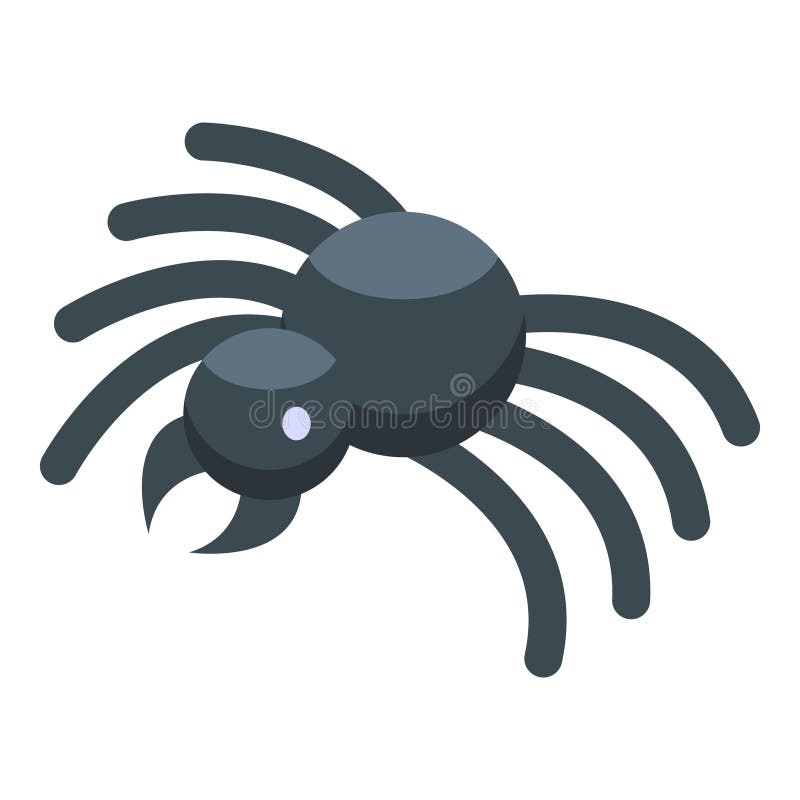 Big Black Spider Crawling with Its Eight Legs Stock Illustration ...