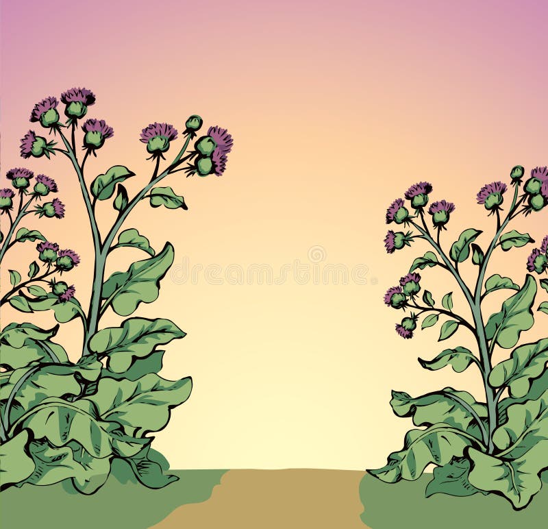 Big Blooming Burdock. Vector Drawing Stock Illustration - Illustration ...