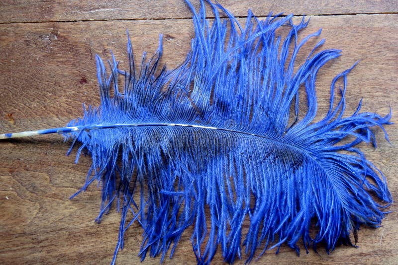 Free Feather Public Domain (CC0) Photos - Dreamstime