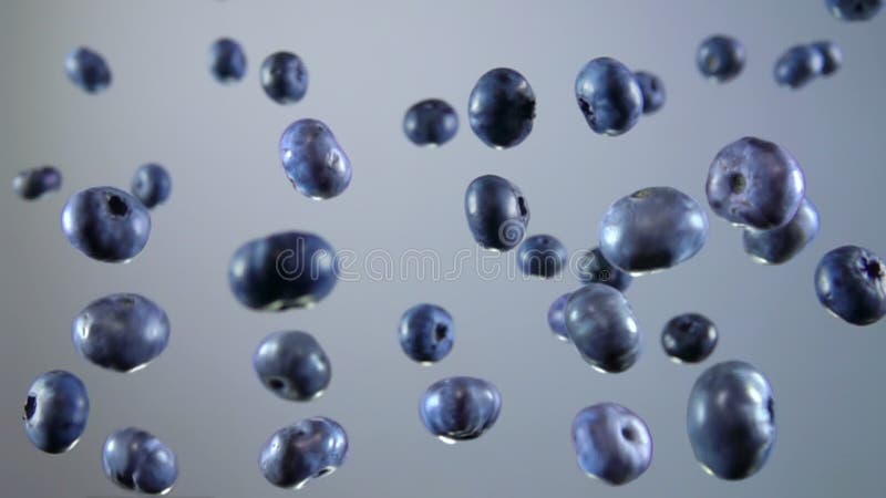 Delicious Blueberry is Flying on Black Background Stock Footage - Video ...