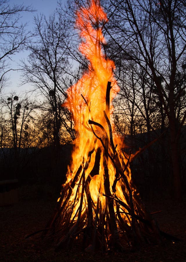 A big bonfire. stock photo. Image of fiery, natural, firewood - 67469798