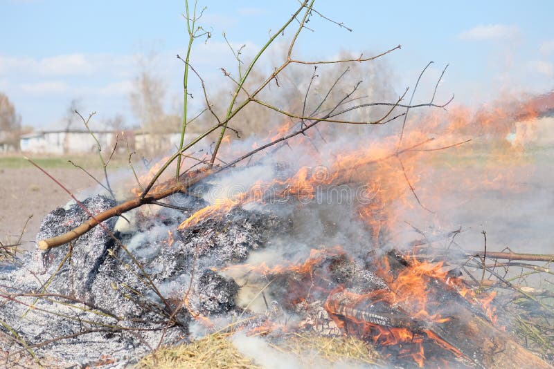 Big Bonfire in the Open Air. a Pile of Ash from Burnt Boards and ...