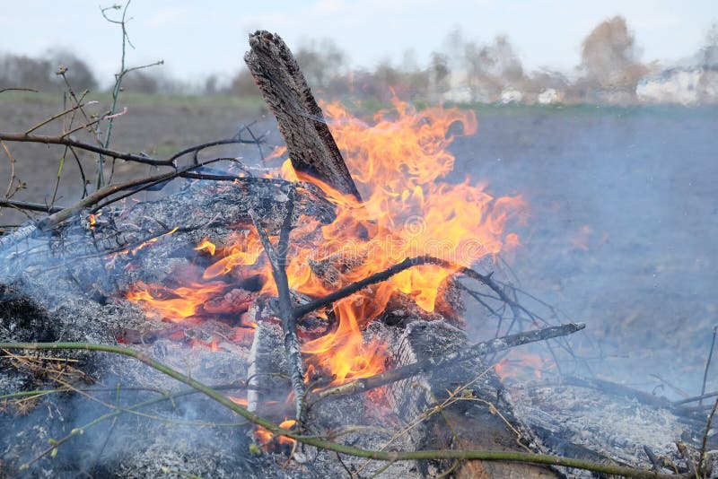Big Bonfire in the Open Air. a Pile of Ash from Burnt Boards and ...