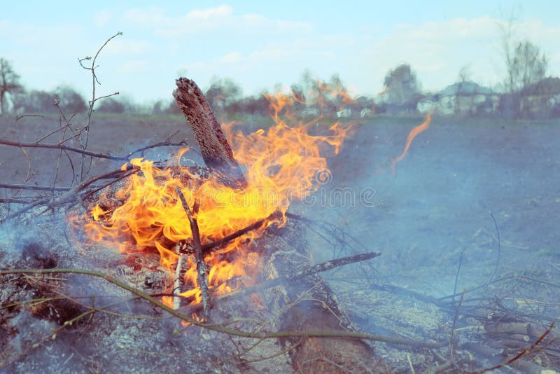Big Bonfire in the Open Air. a Pile of Ash from Burnt Boards and ...