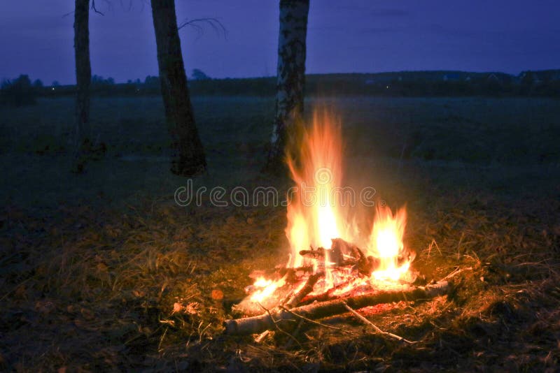 Bonfire in the Spring Forest on the Background of Withered Grass. in ...
