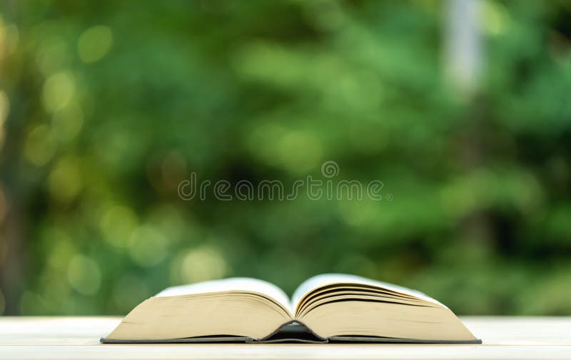 A Big Book on Forest Background Stock Photo - Image of book, books ...