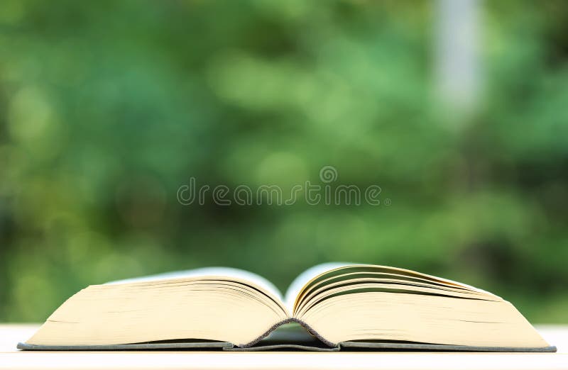 A Big Book on Forest Background Stock Photo - Image of study, reading ...