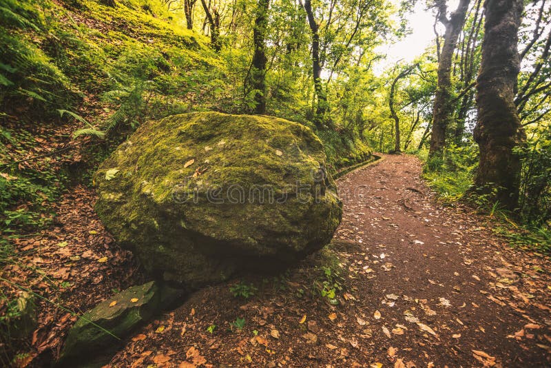 Boulder on pathway stock image. Image of mossy, island - 169681293