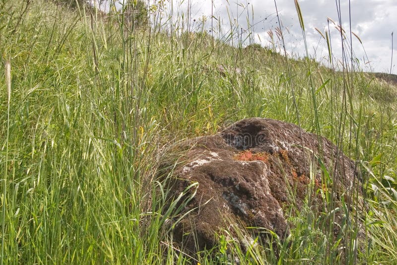 The Big Boulder in a Grass. Stock Image - Image of range, abloom: 7188023