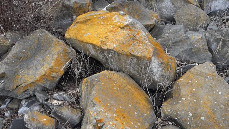 Big Boulders with Yellow Moss, Rocks with Yellow Moss Stock Footage ...