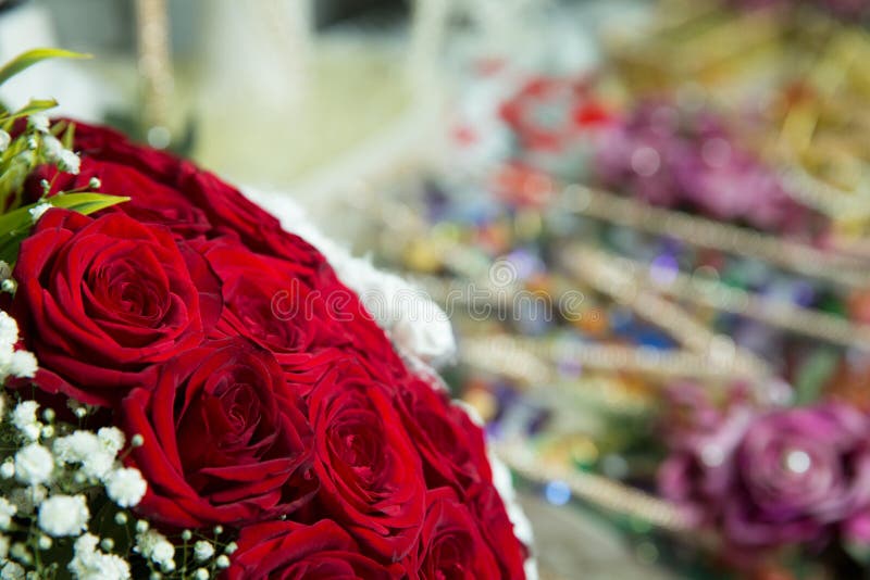 Big Bouquet of One Hundred Big Red Roses Flowers . a Bouquet of Flowers ...
