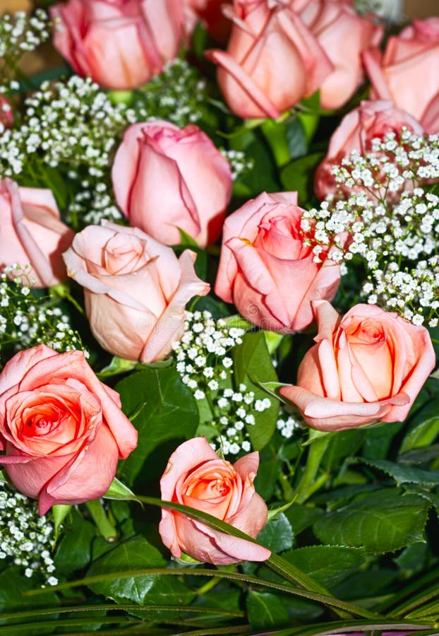 Big bouquet of pink roses stock photo. Image of floristry - 144424134