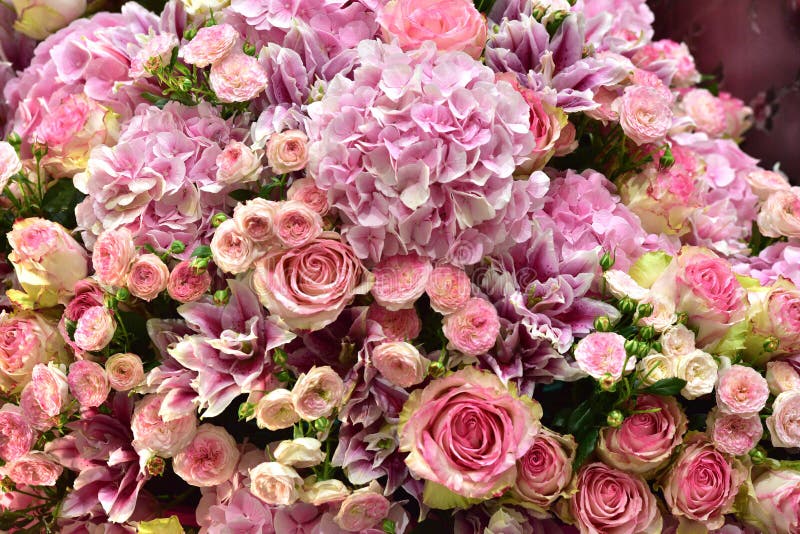 Big bouquet of pink roses stock image. Image of gardening - 256780085