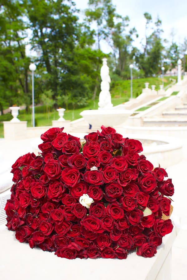 A Big Bouquet of Red Roses. Stock Photo - Image of holiday, outdoor ...