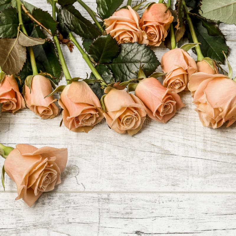 Big Bouquet of Roses on Wooden Background Stock Photo - Image of copy ...