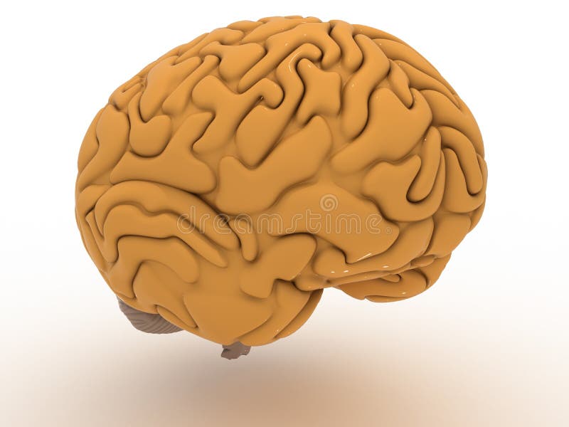 Background with Brain Concept Vector Stock Vector - Illustration of ...