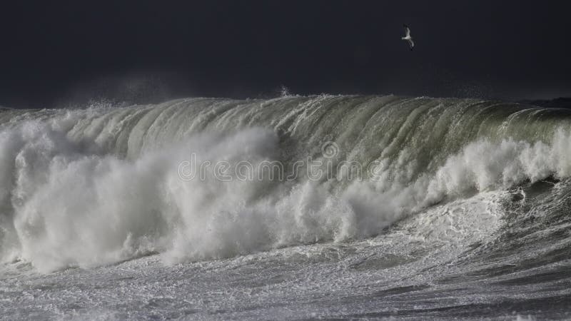 Big breaking wave stock image. Image of beach, natural - 194414097