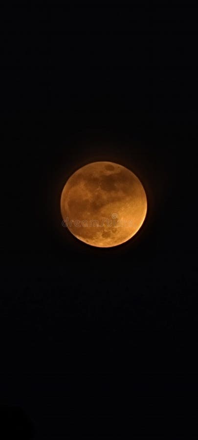 Big bright moon stock image. Image of bright, moon, yellow - 238906539