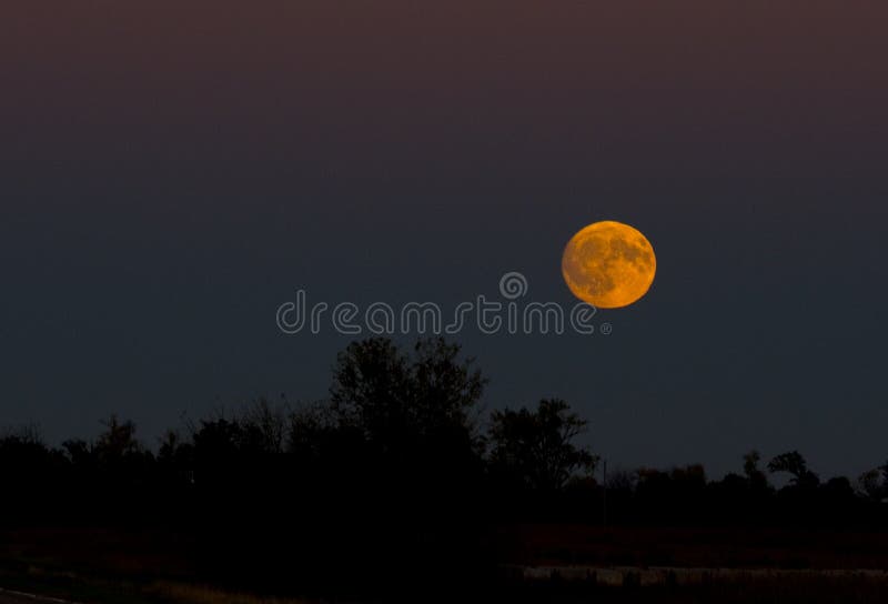 Big Bright Moon in Fall Sky Stock Photo - Image of tree, black: 104074648