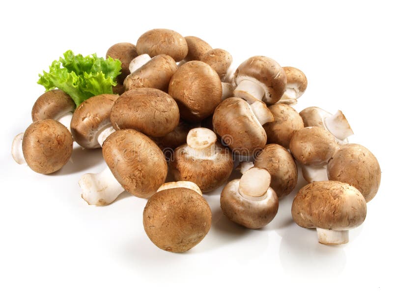 Big Brown Champignons on White Background - Isolated Stock Photo ...