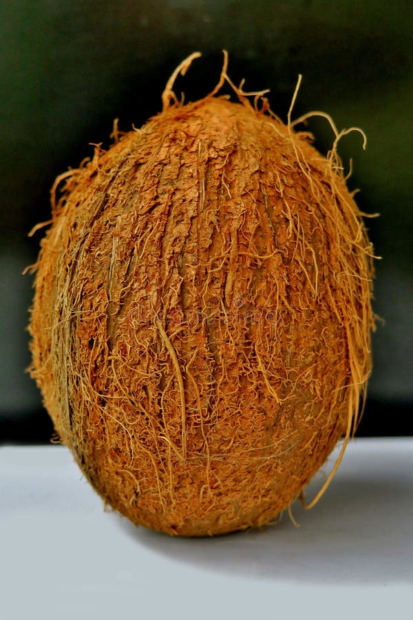 Big Brown Coconut on a Black Background Close-up Stock Image - Image of ...