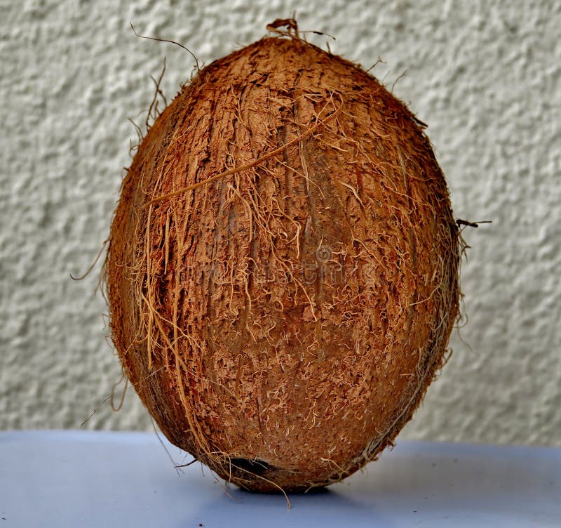 Big Brown Coconut on a Black Background Close-up Stock Image - Image of ...