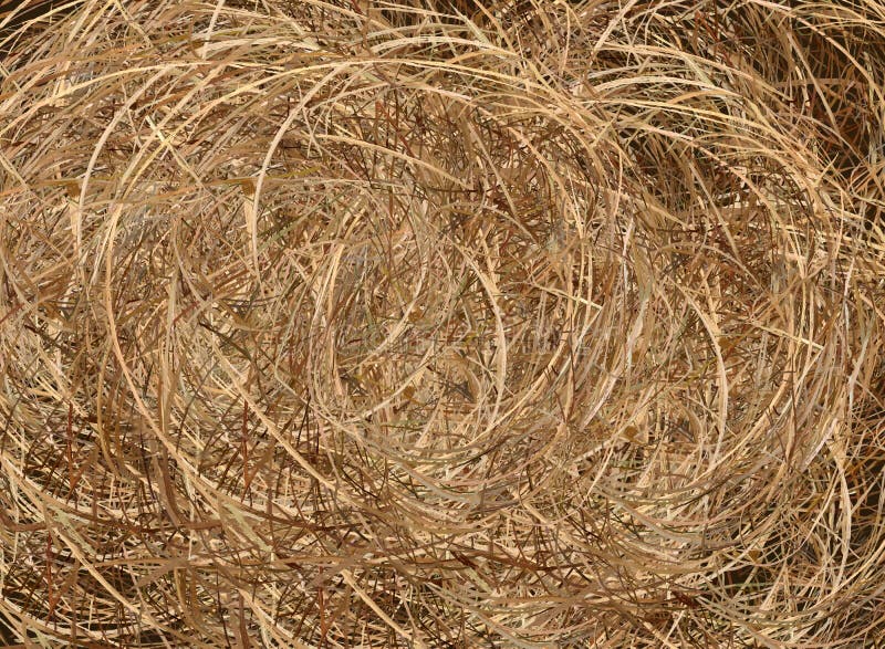 A Big Brown Haybale Roll Background Texture Stock Image - Image of ...