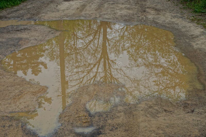 Big Brown Muddy Puddle Outside on the Road Stock Image - Image of ...