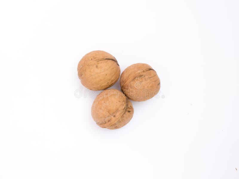 Big Brown Walnut Large Nuts Stock Photo - Image of isolated, walnuts ...