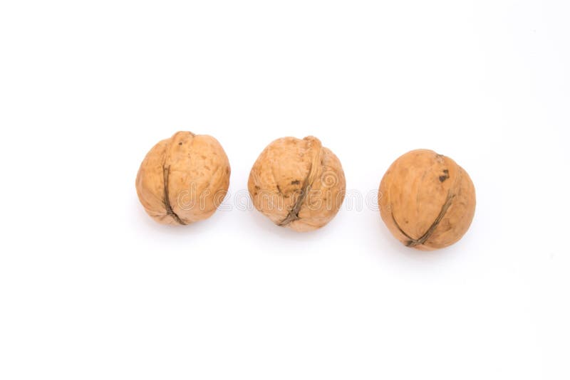Big Brown Walnut Large Nuts Stock Photo - Image of background, bang ...