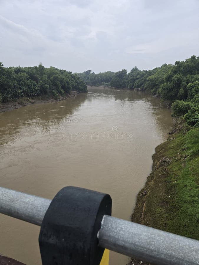 Big Brown Water River with Greenery Around Stock Image - Image of ...