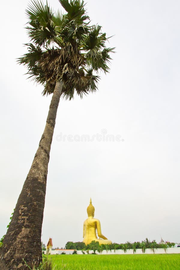Big Buddha at Wat Muang, Thailand Stock Photo - Image of buddha, church ...