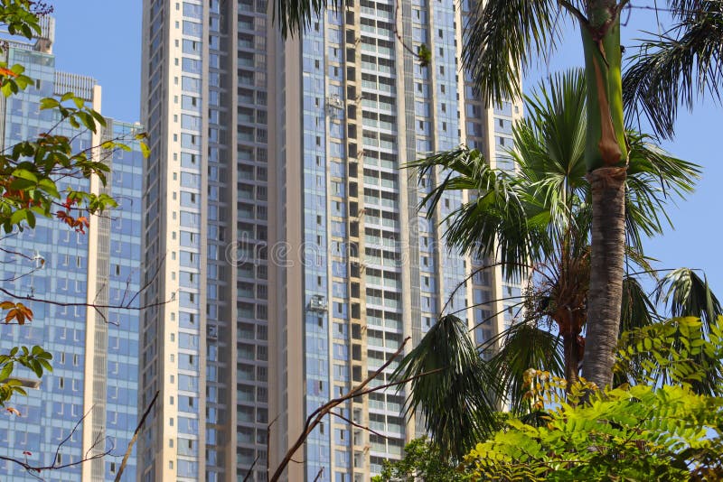 Big Building Around Green Tree and Plants Stock Image - Image of ...