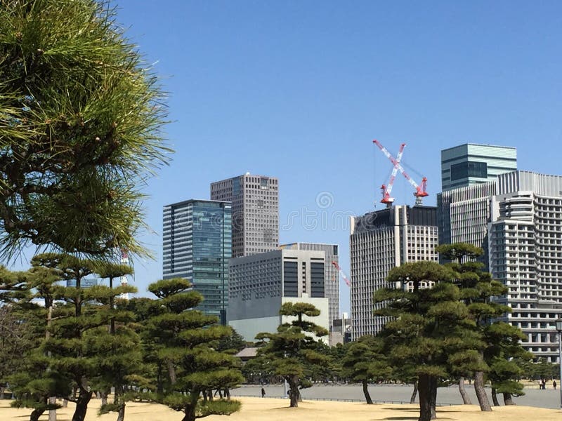 Big building in city stock photo. Image of district - 106588698