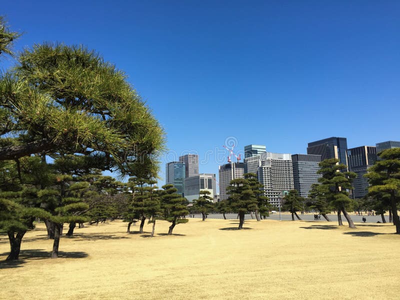 Big building in city editorial photo. Image of office - 106588676