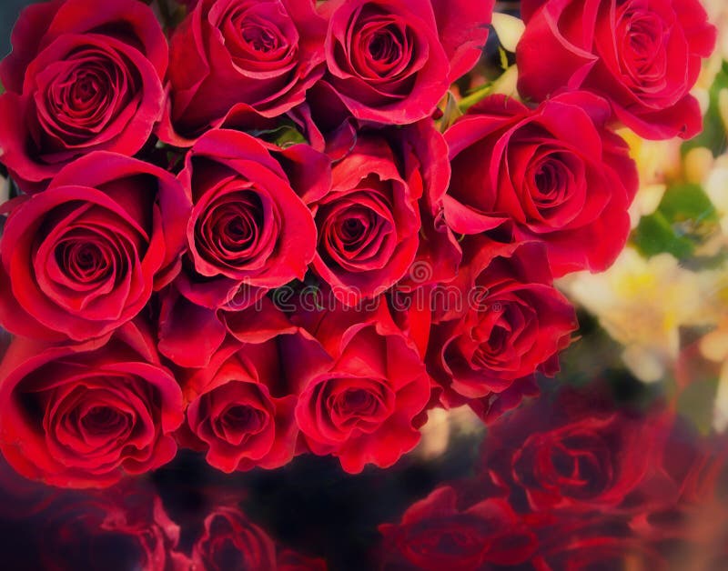 Big Bunch Bouquet of Red Roses Stock Image - Image of growth, love ...