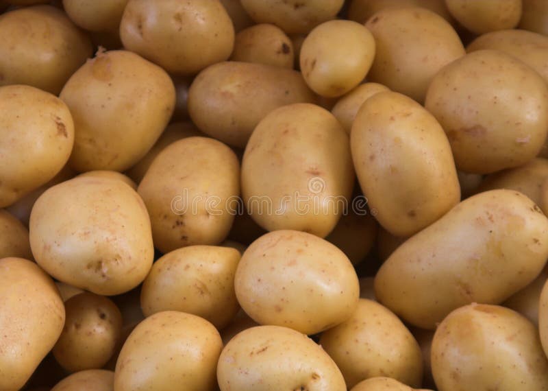 Big Bunch of Natural Potatoes Stock Photo - Image of lots, grocery ...