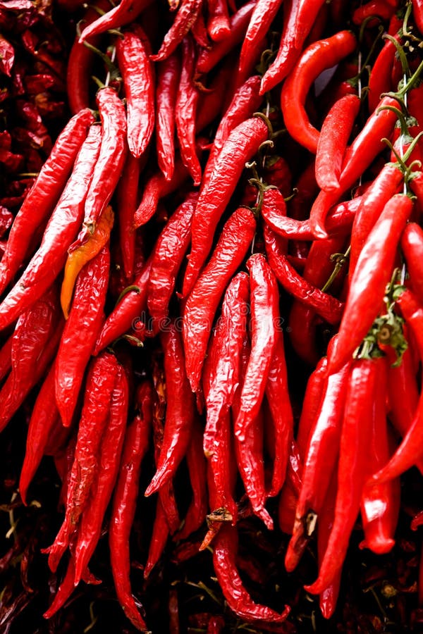 Big Bunch of Red Hot Chilli Pepper Stock Photo - Image of enjoyment ...
