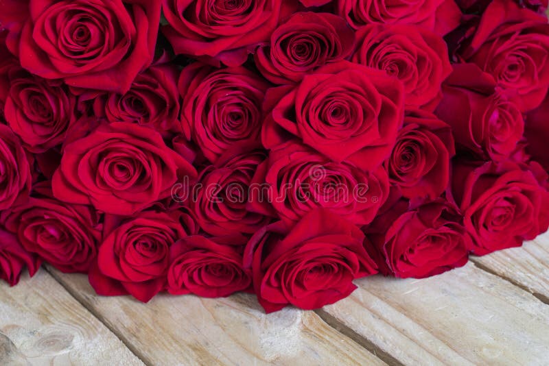 Big bunch of the roses stock image. Image of beautiful - 151896837