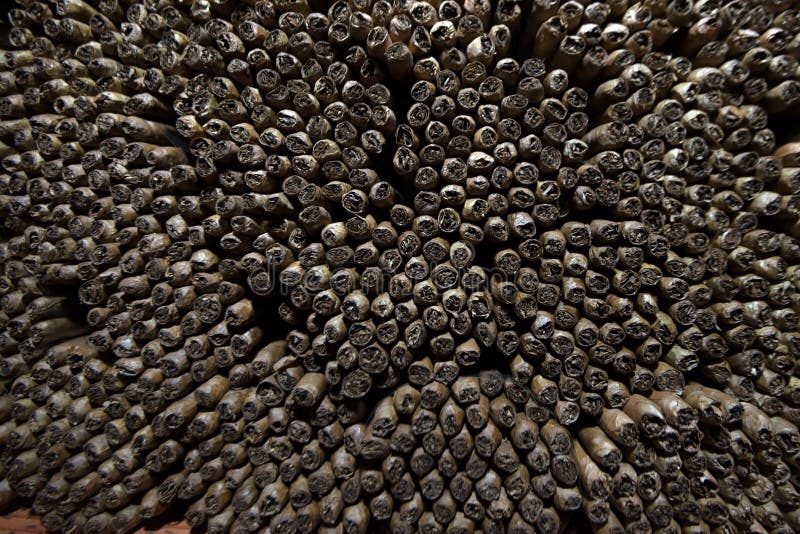 Big bundle of cigars stock photo. Image of medicine, manufacture - 63085702