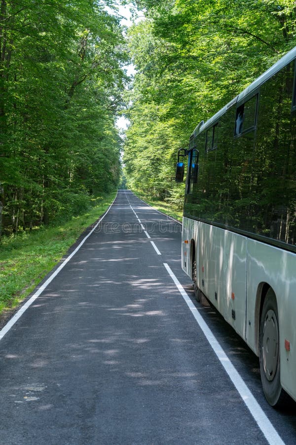 The Big Bus is Moving Along the Forest Road. Stock Image - Image of ...