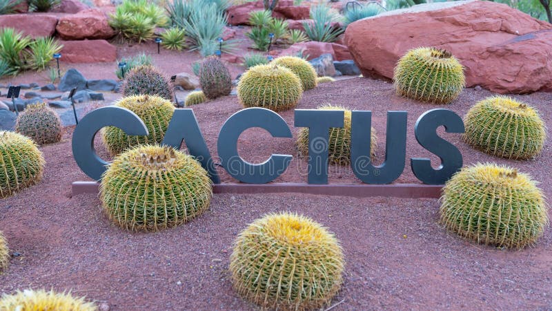 142 St George Cactus Stock Photos - Free & Royalty-Free Stock Photos ...