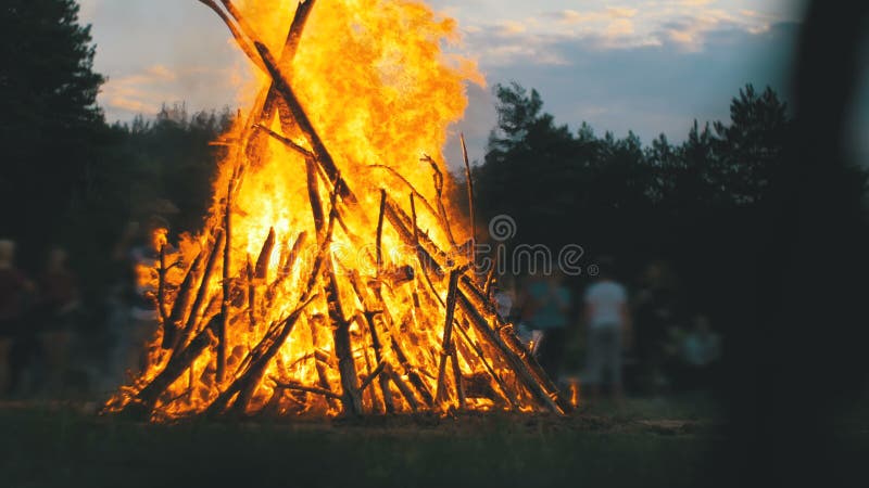 Big Campfire of the Branches Burn at Night in the Forest on the ...