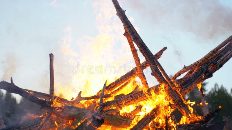 Big Campfire from Branches Burn at Night in the Forest Stock Video ...
