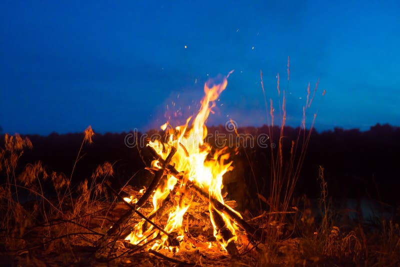 Big Campfire at Night in the Forest Stock Image - Image of nature, heat ...