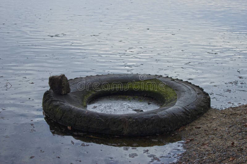 Big car tire in the river stock photo. Image of blue - 358971858